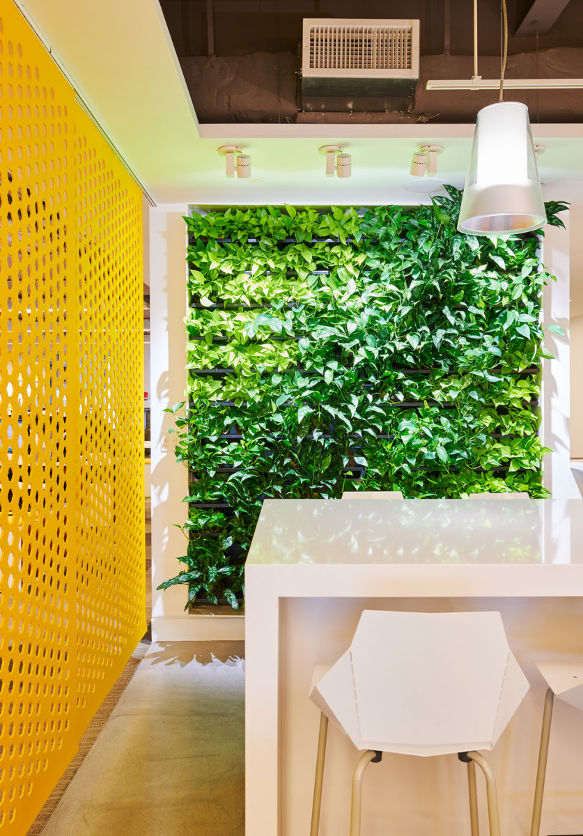 GREENing the Workplace - Bonstra | Haresign Architects